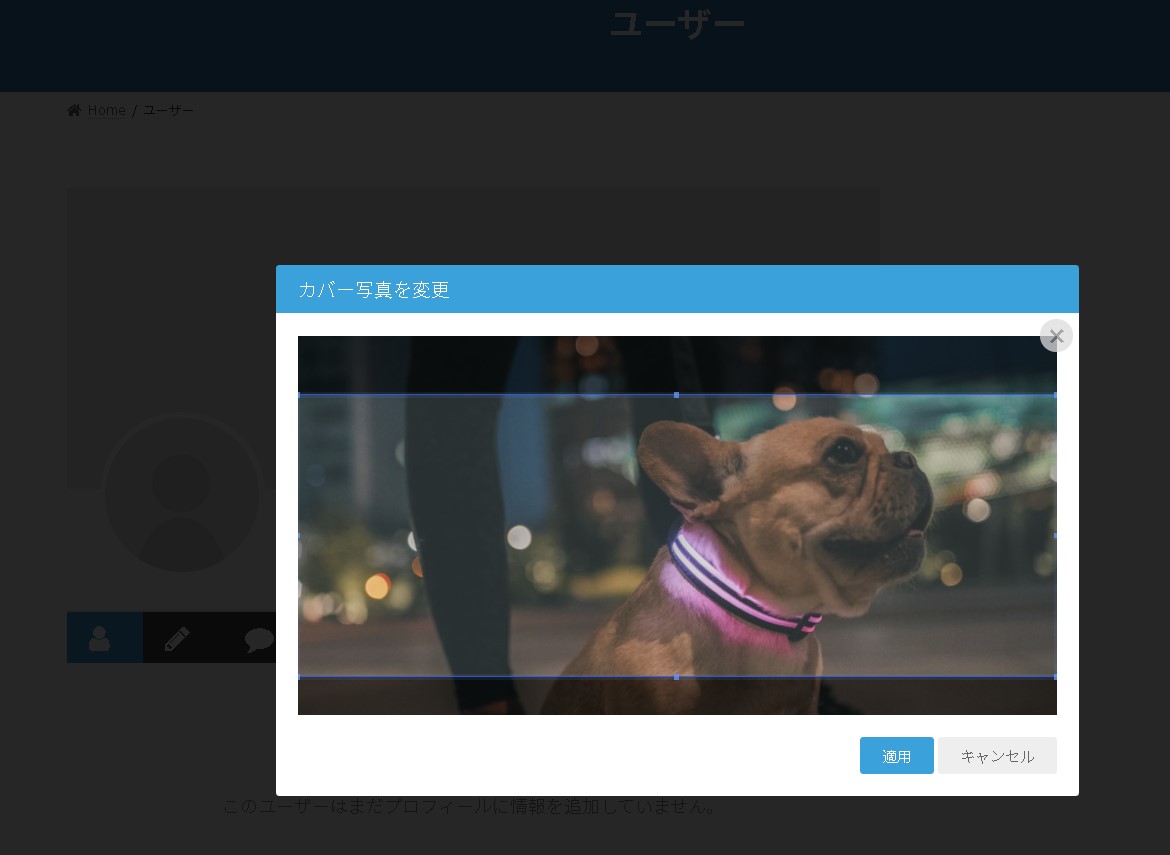 【WordPress】Ultimate Memberプラグインで会員制サイトを作るPART1 | eguweb(エグウェブ)