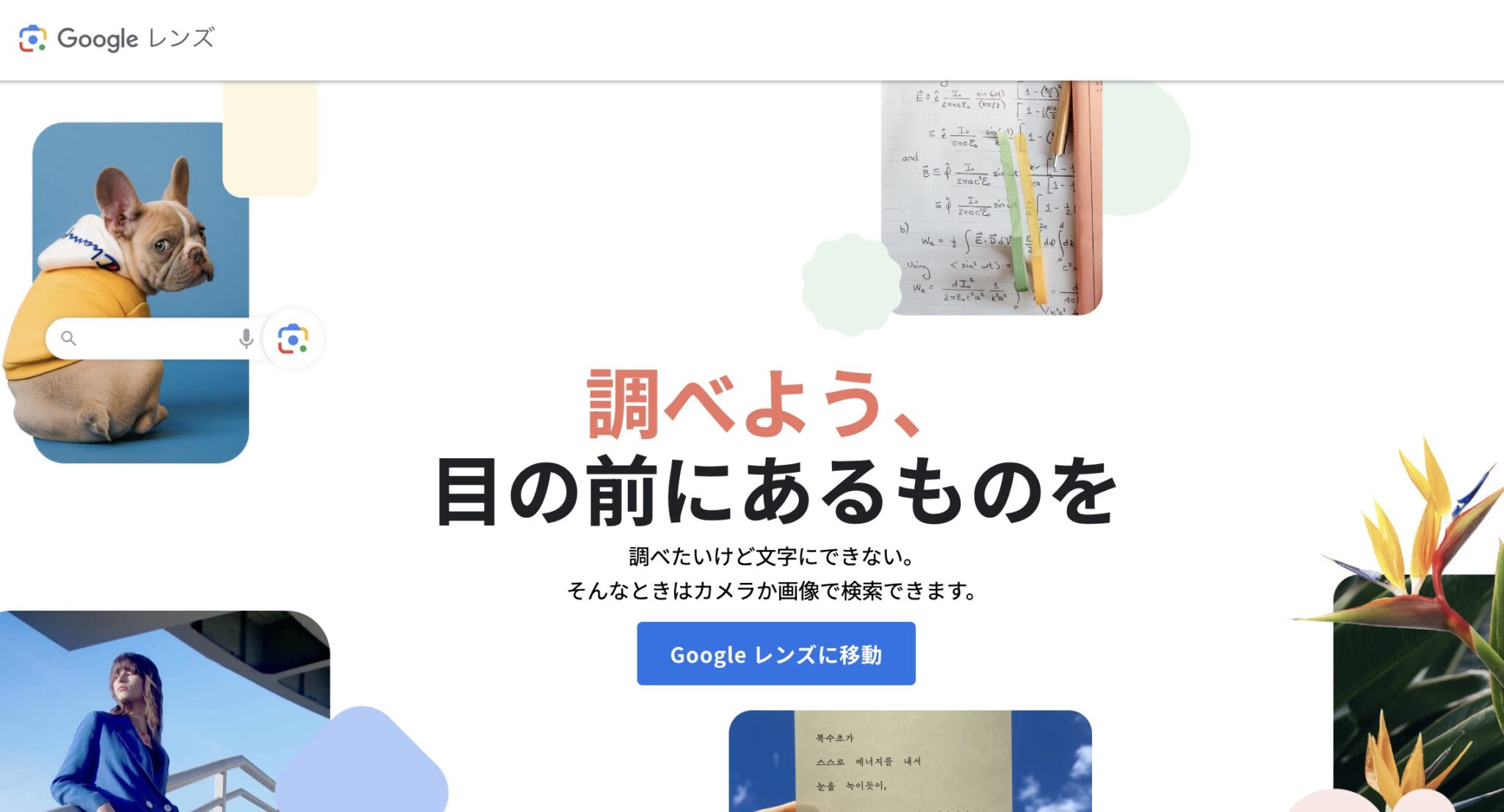 Googleレンズとは？概要と主な機能について | eguweb(エグウェブ)